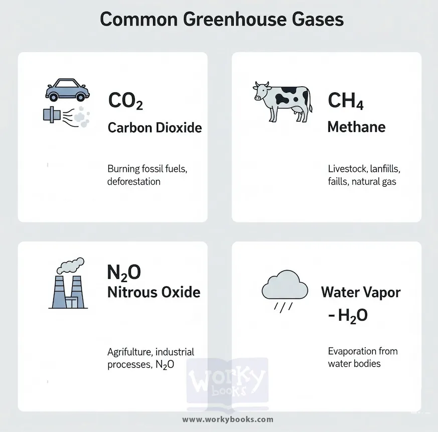 How Many Greenhouse Gases Are There | Interactive | Workybooks ...