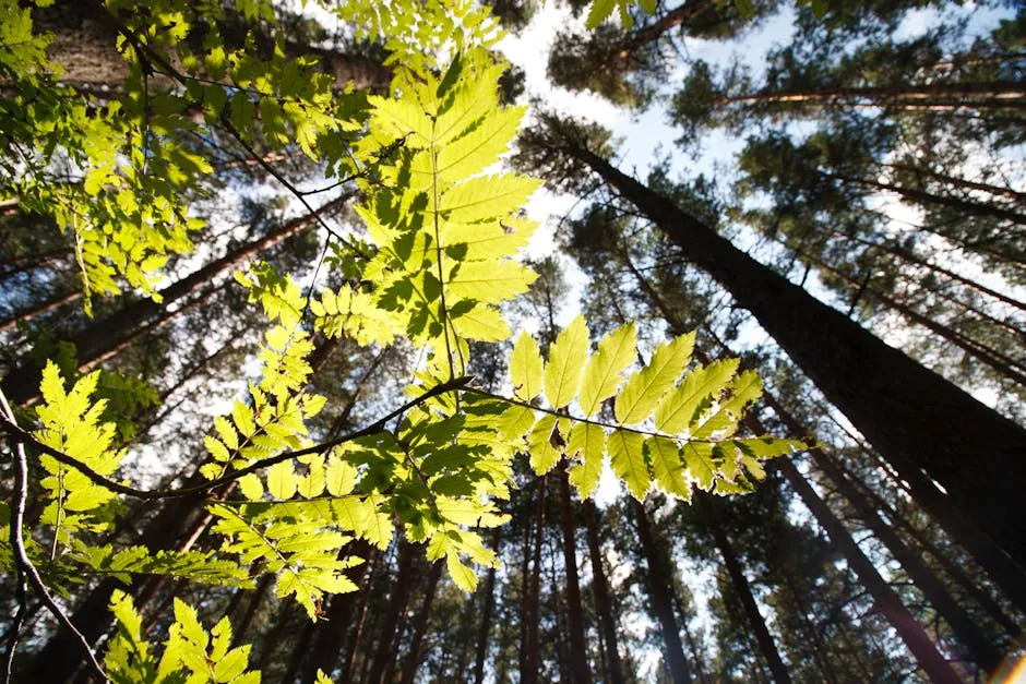 How Plants Pull Carbon From Air - Middle School Science Reading Passage ...
